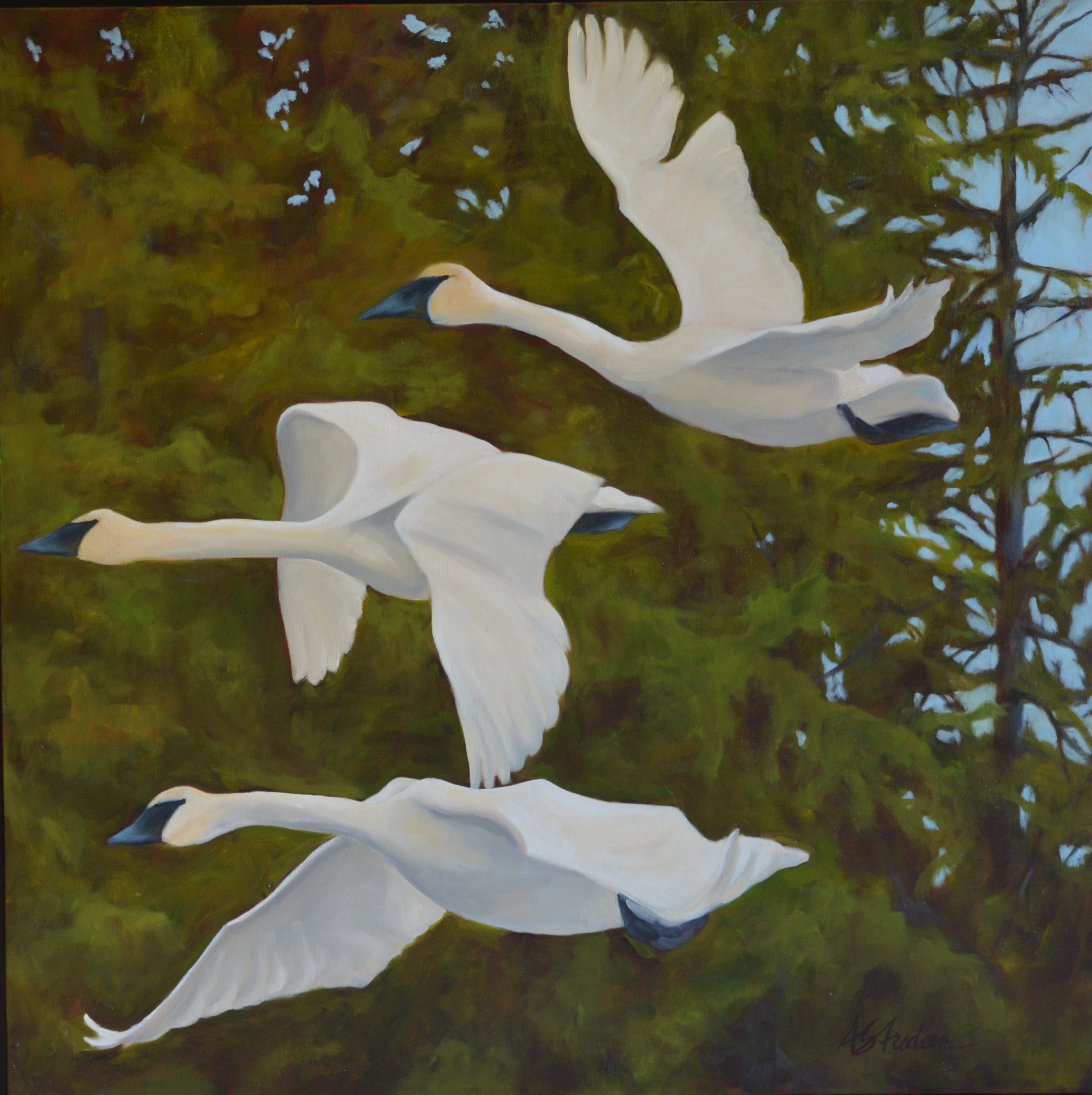 Available – Andrea S Fredeen