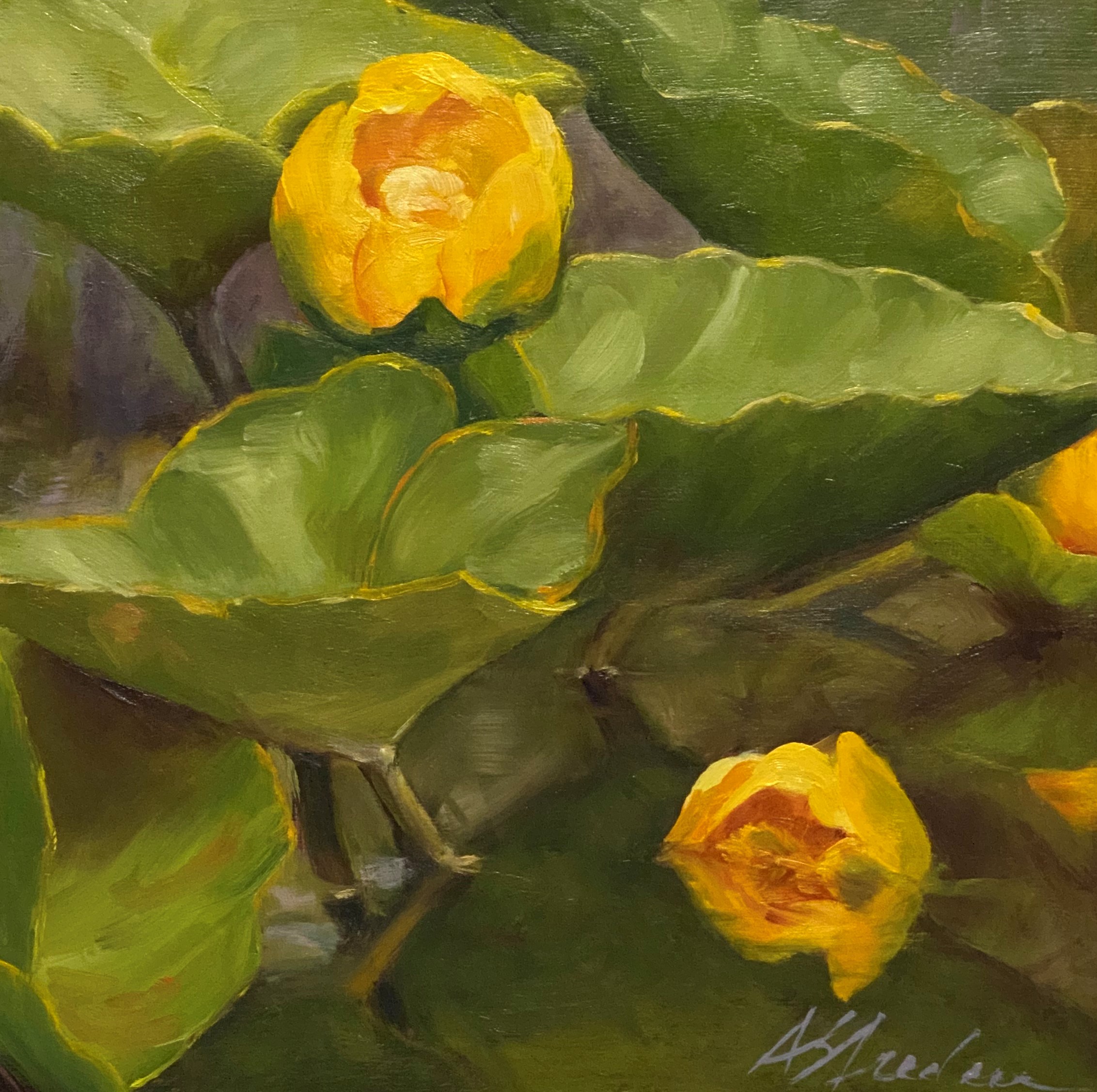 Portfolio – Andrea S Fredeen