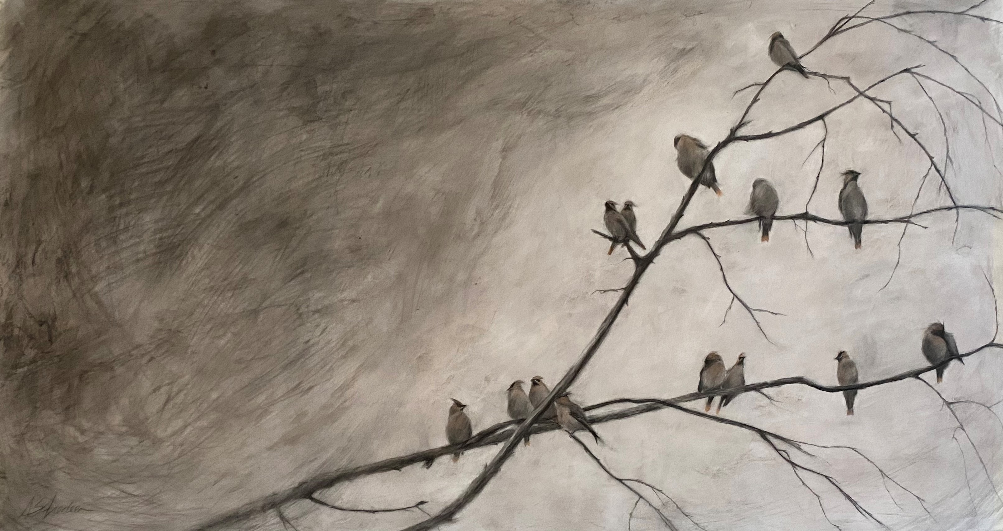 Available – Andrea S Fredeen